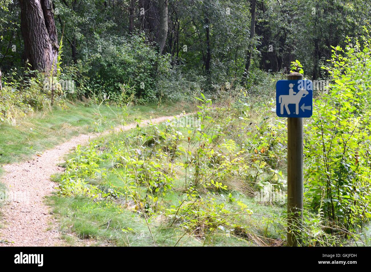 Horse Riding Path Stock Photo - Alamy