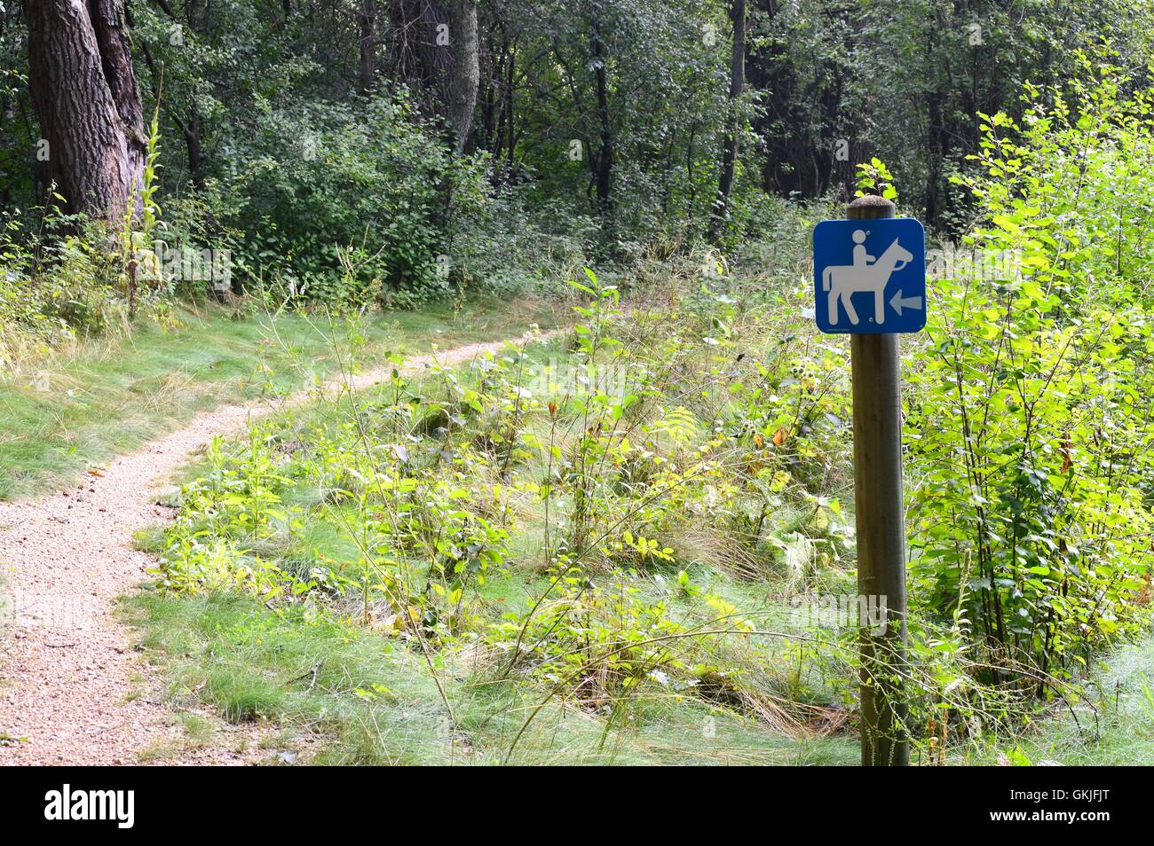 Horse Riding Path Stock Photo - Alamy