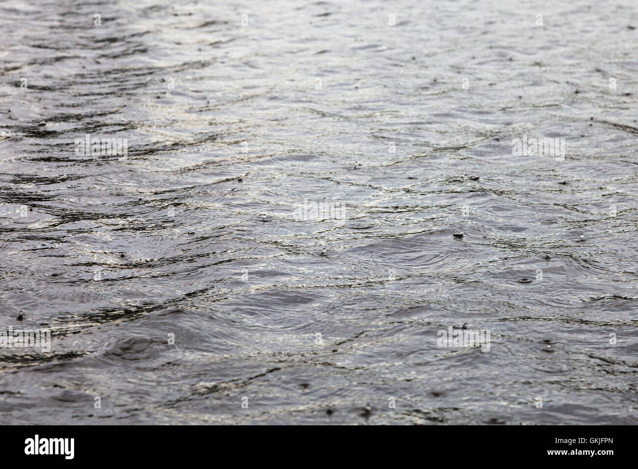 Heavy rain in pond hi-res stock photography and images - Alamy
