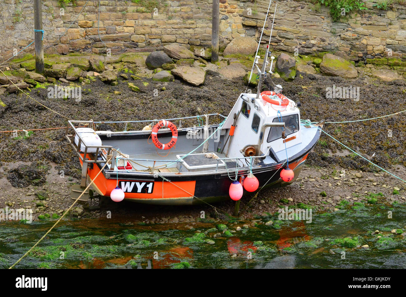 Staithes beck hi-res stock photography and images - Alamy
