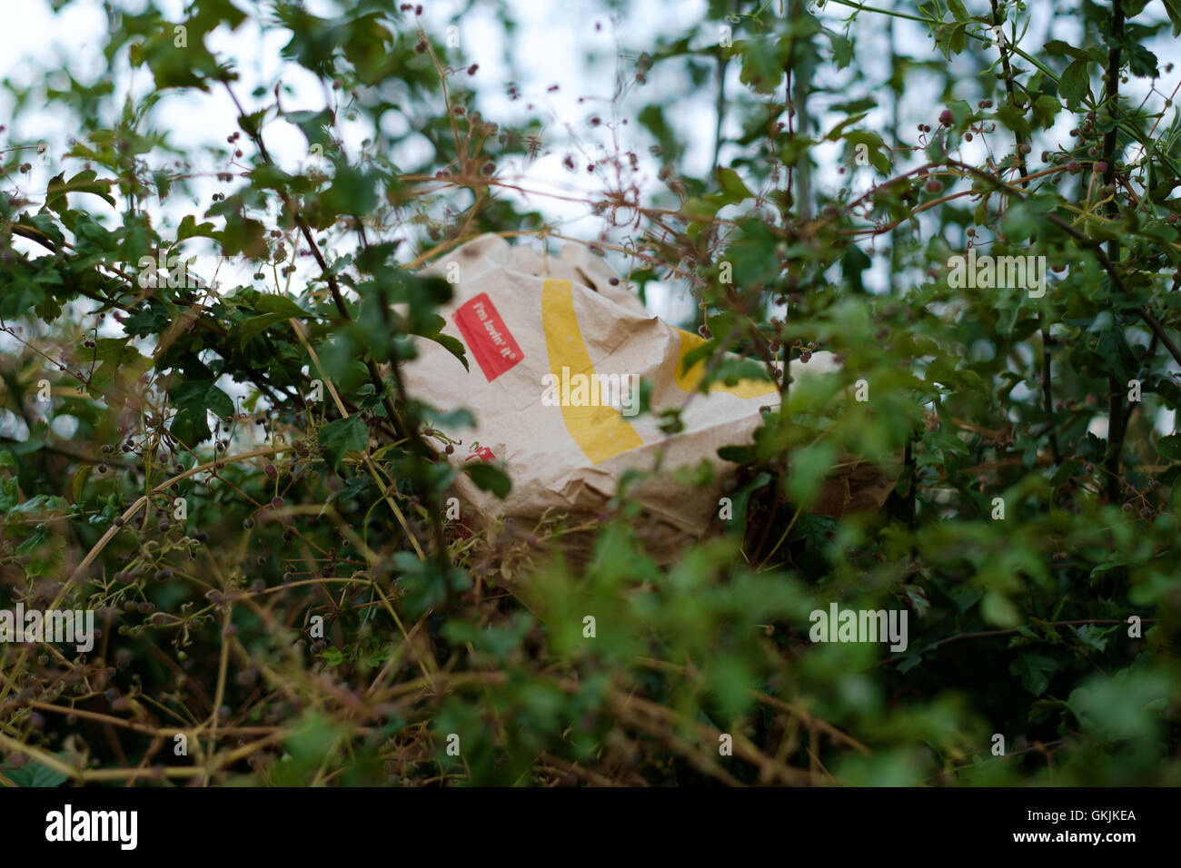 Mcdonalds trash hi-res stock photography and images - Alamy Mcdonalds trash hi-res stock photography and images - Alamy