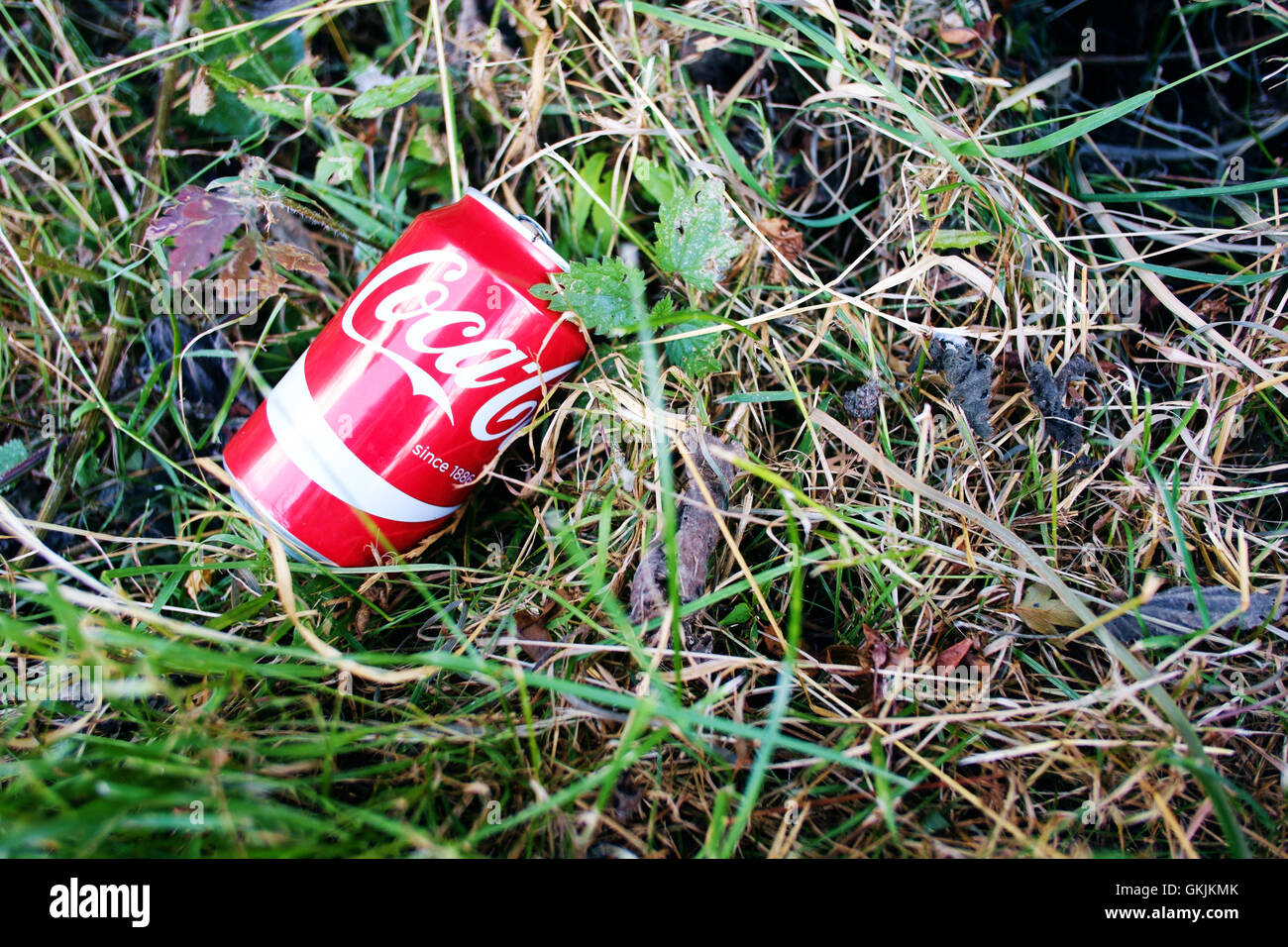 Coca Cola Can High Resolution Stock Photography and Images - Alamy