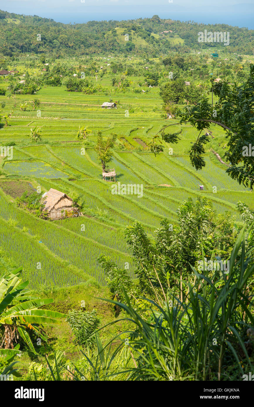 Tiered rice fields hi-res stock photography and images - Alamy