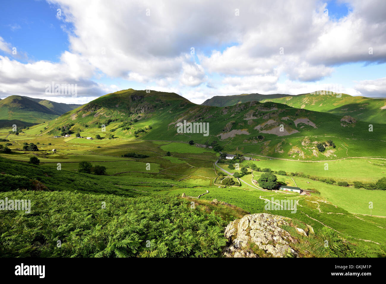Martindale common hi-res stock photography and images - Alamy