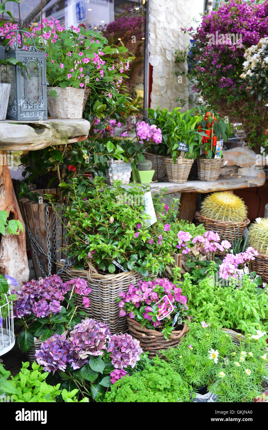 Small flower shop Stock Photo - Alamy