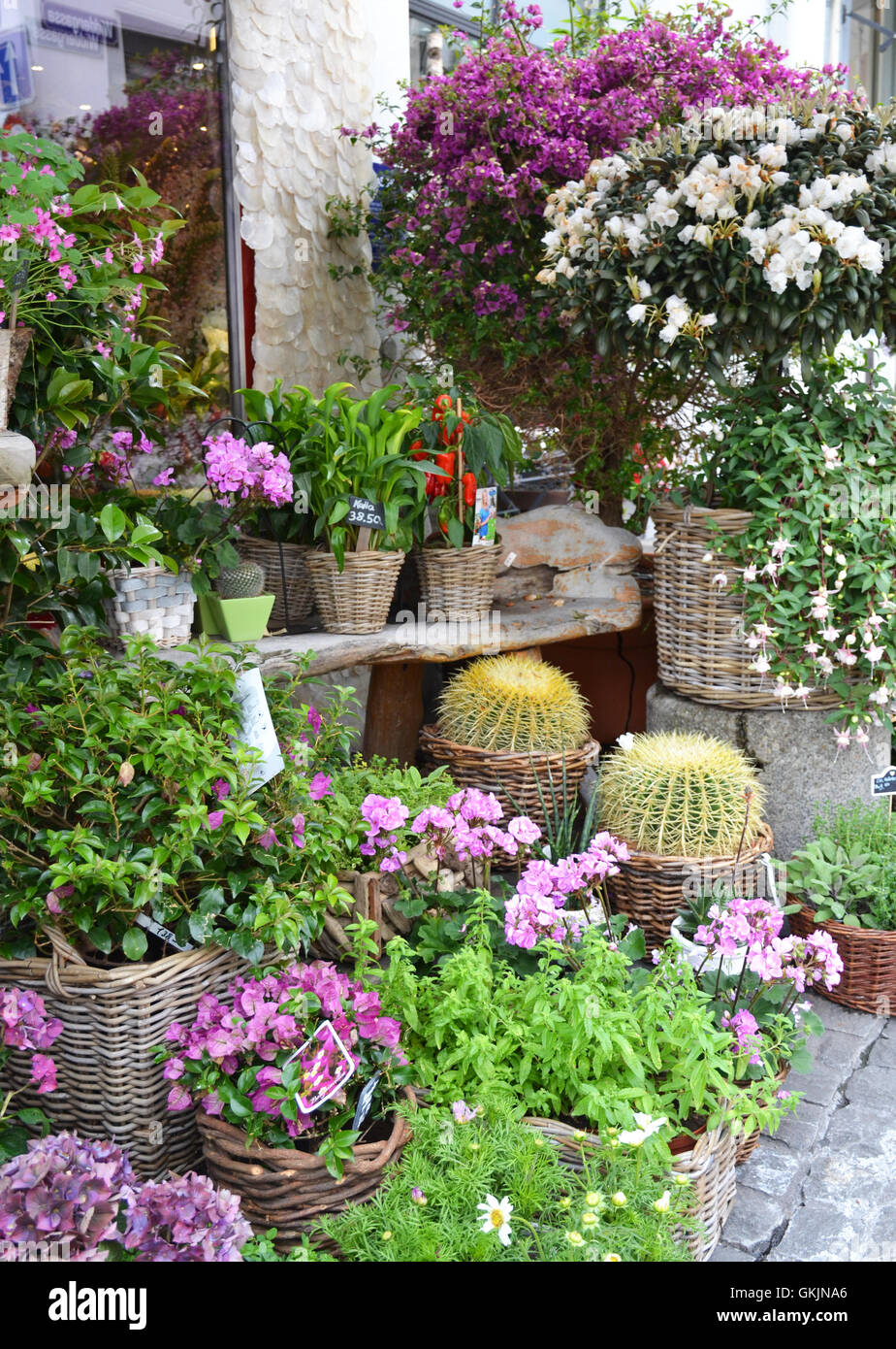 Small flower shop Stock Photo - Alamy