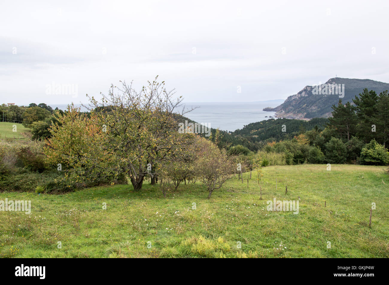 Mount and the Bay of Biscay Stock Photo - Alamy