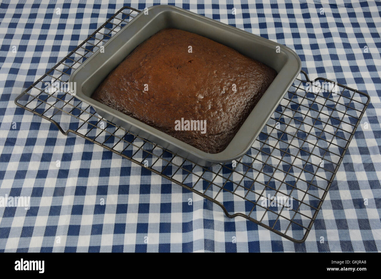 Chocolate cake layer in pan on cooling rack Stock Photo - Alamy