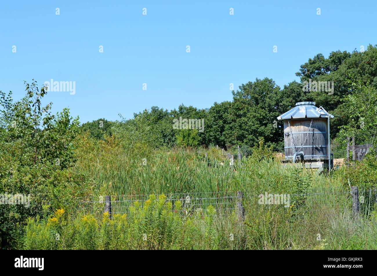 Rain Collector in the Garden Stock Photo - Alamy