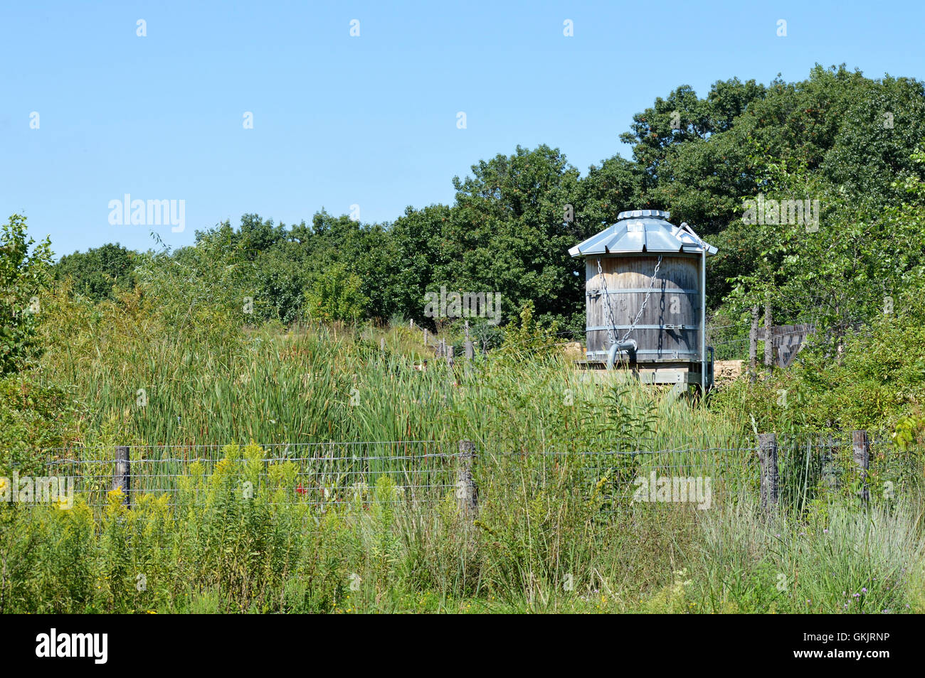 Rain Collector in the Garden Stock Photo - Alamy