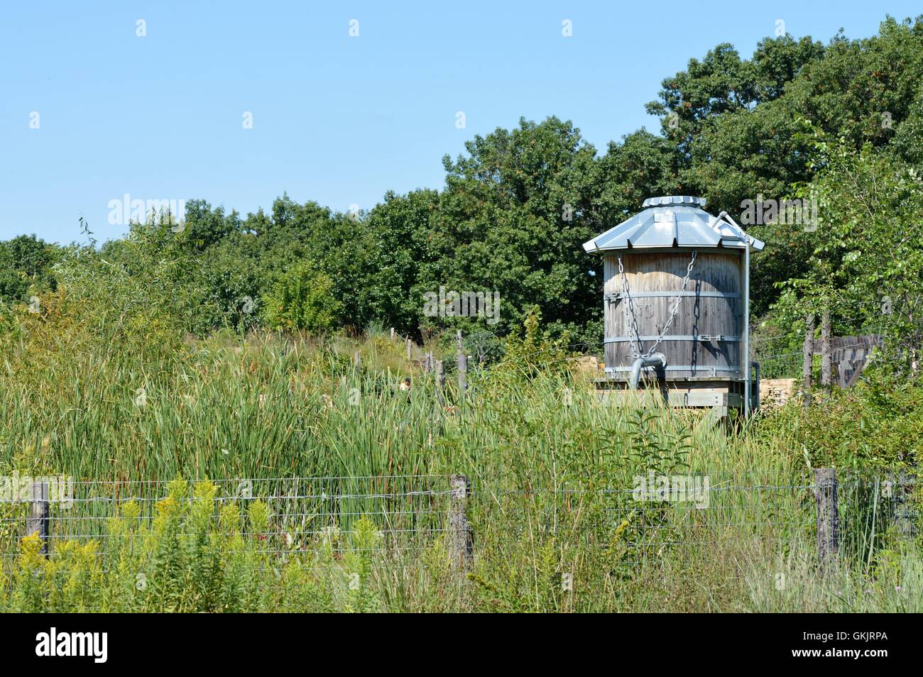 Rain Collector in the Garden Stock Photo - Alamy