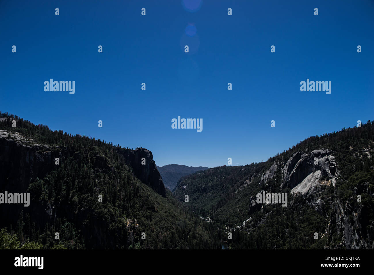 Beautiful blue sky over lush hi-res stock photography and images - Alamy