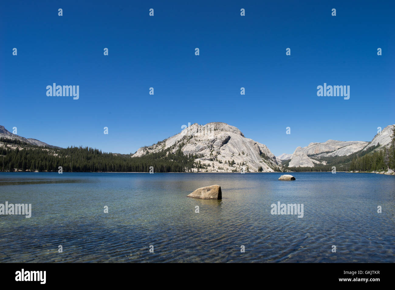 Yosemite national forrest hi-res stock photography and images - Alamy