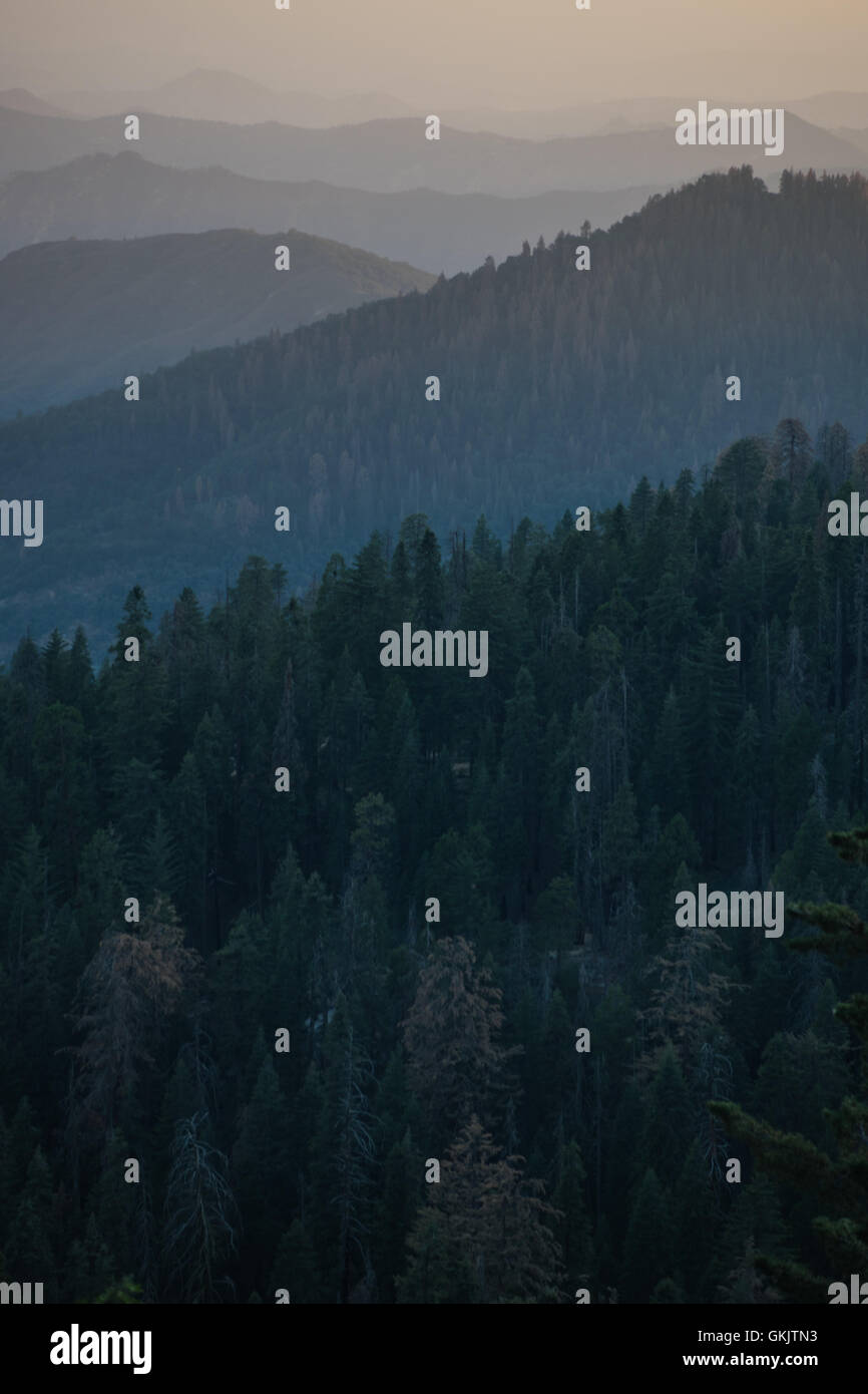 Sunset over forest mountains Stock Photo - Alamy