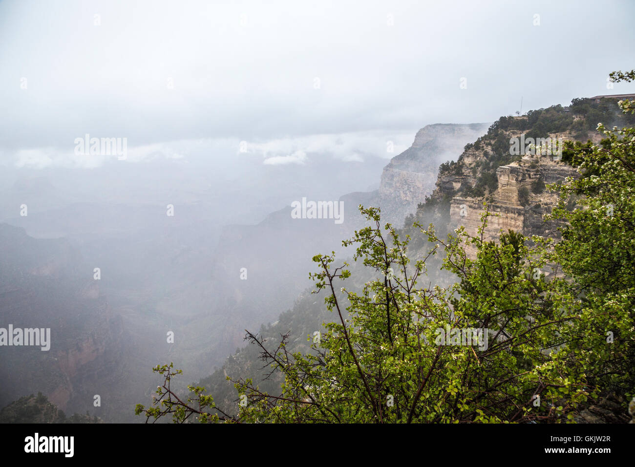 Canyon fog hi-res stock photography and images - Alamy