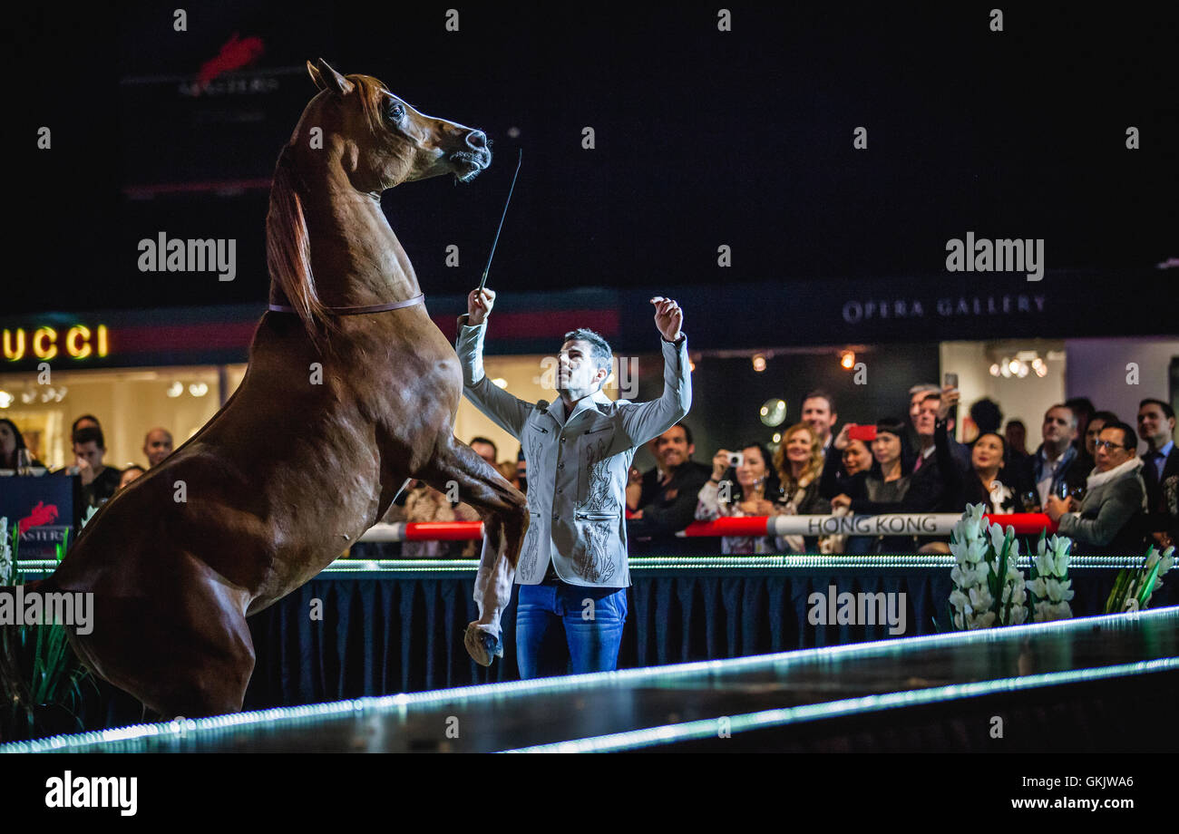 Longines Hong Kong Masters, 2015 Stock Photo - Alamy