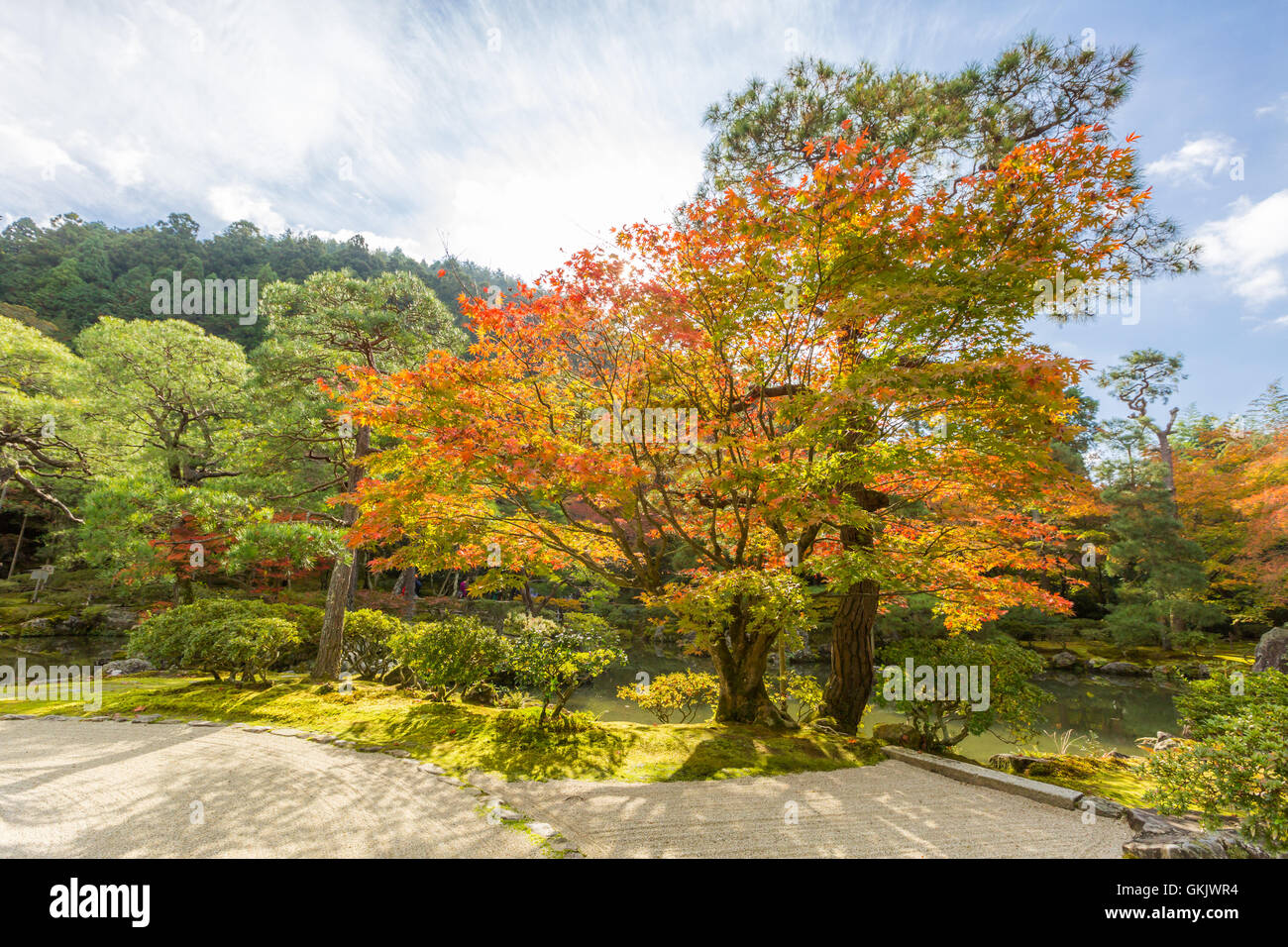 Yellow, orange and red autumn leaves in beautiful fall park Stock Photo ...