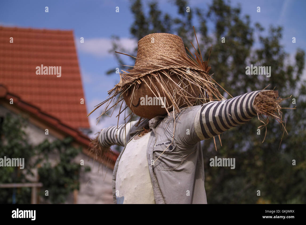 Urban scarecrow hi-res stock photography and images - Alamy