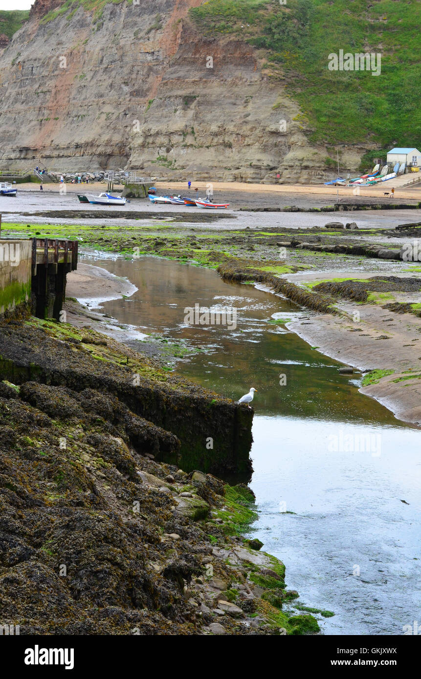 Staithes beck North Yorkshire England UK Stock Photo - Alamy