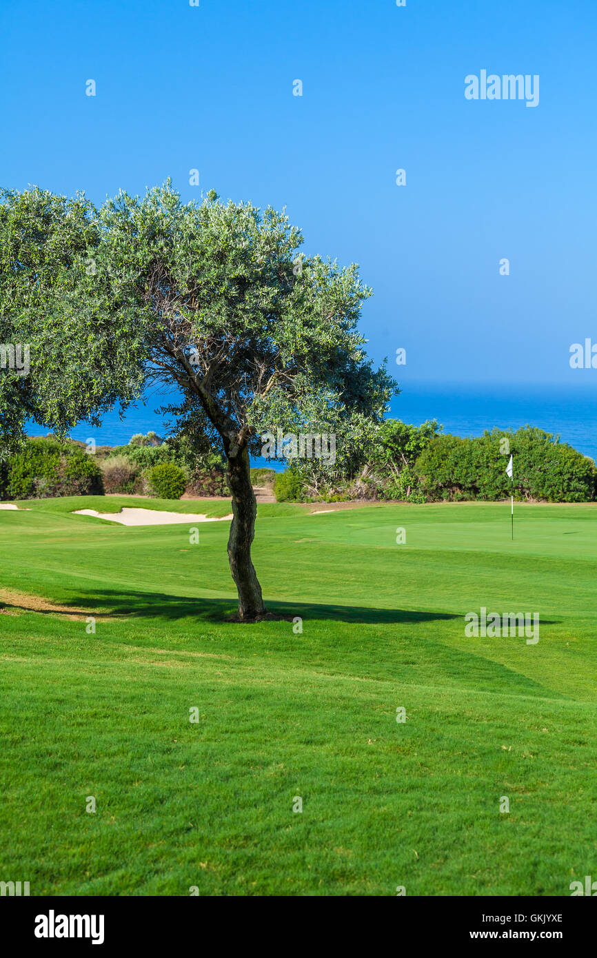 Cyprus golf course hi-res stock photography and images - Alamy