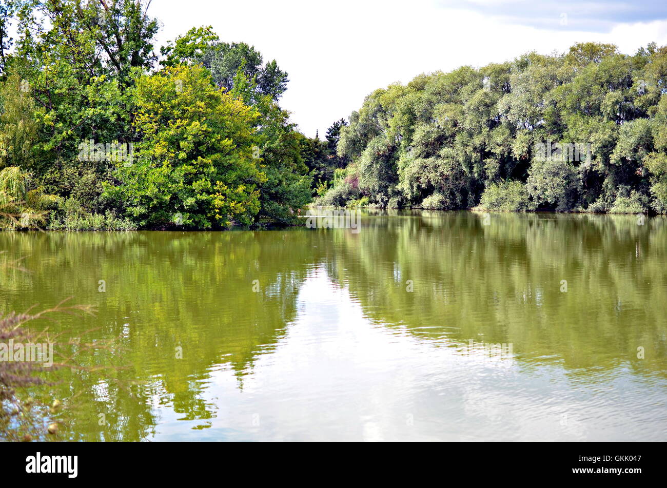 Riverside plants hi-res stock photography and images - Alamy