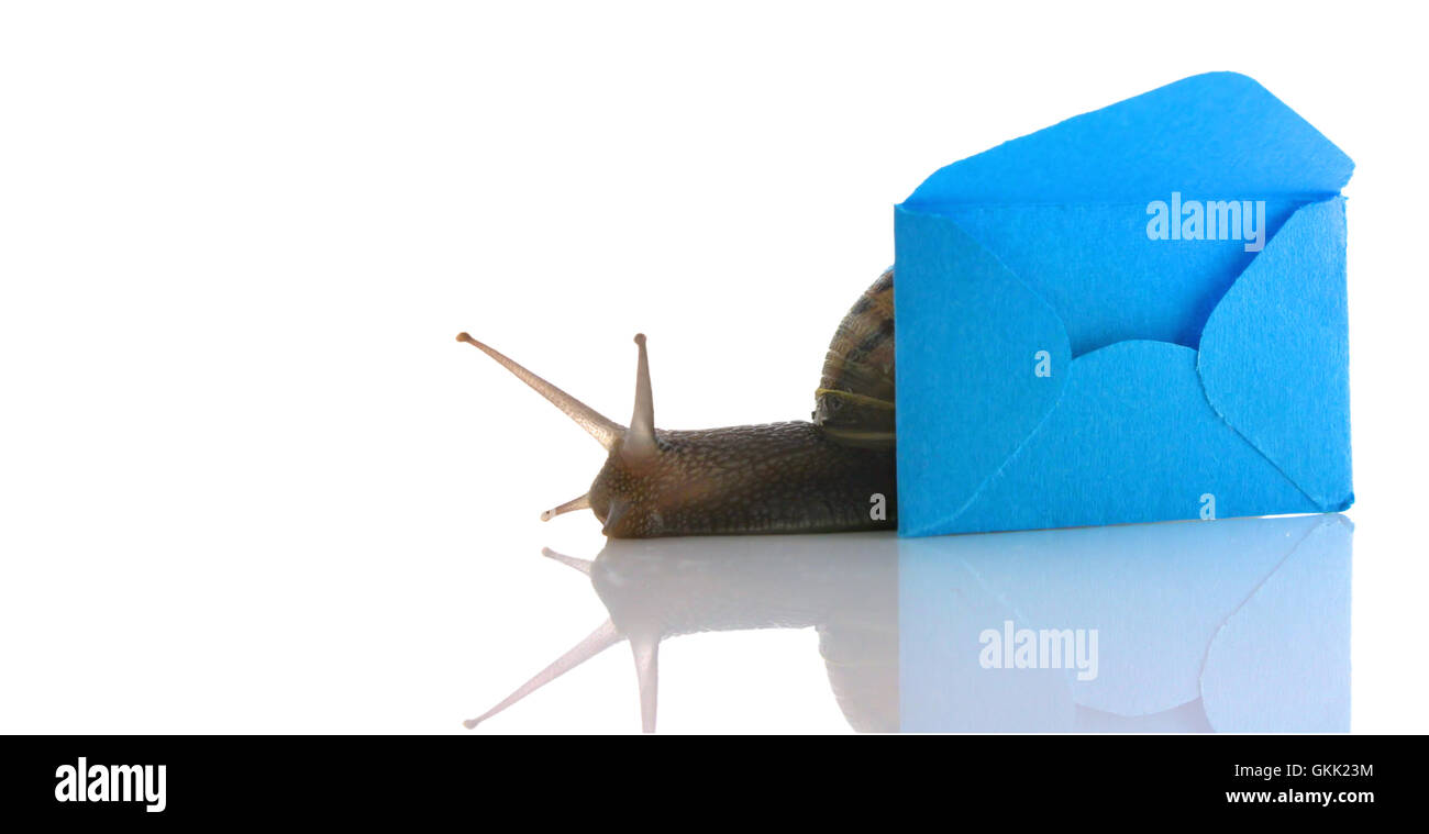 Snail mail concept on white background Stock Photo - Alamy