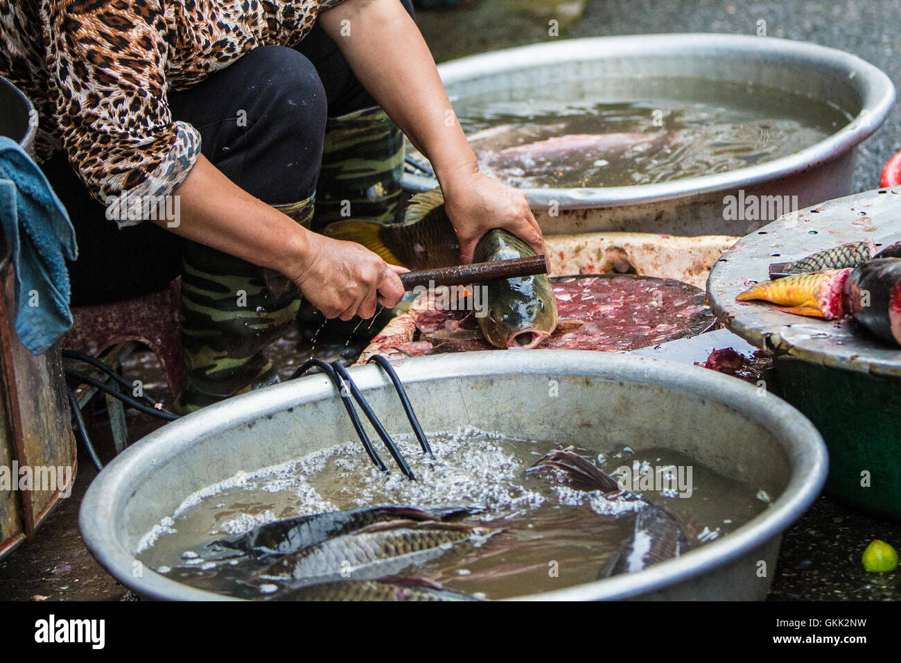 Fishmonger Fish Seller in Hanoi Vietnam Wet Street Market Asia Stock ...