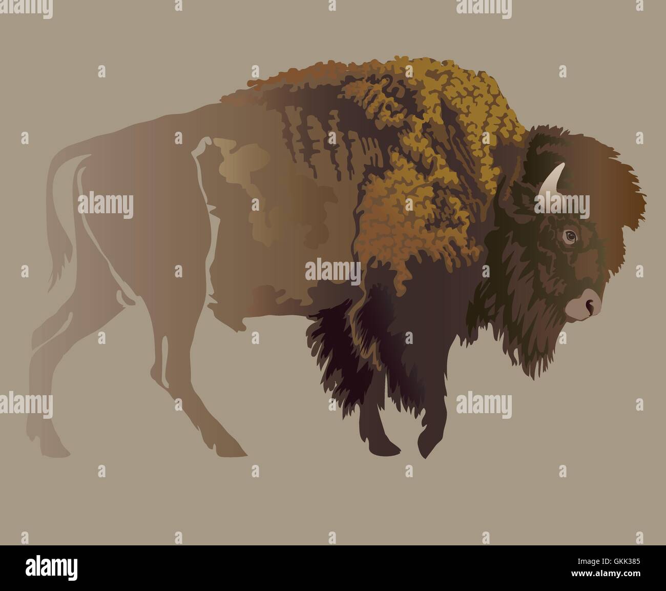 Buffalo, hand-drawn illustration, detailed variant Stock Vector Image ...