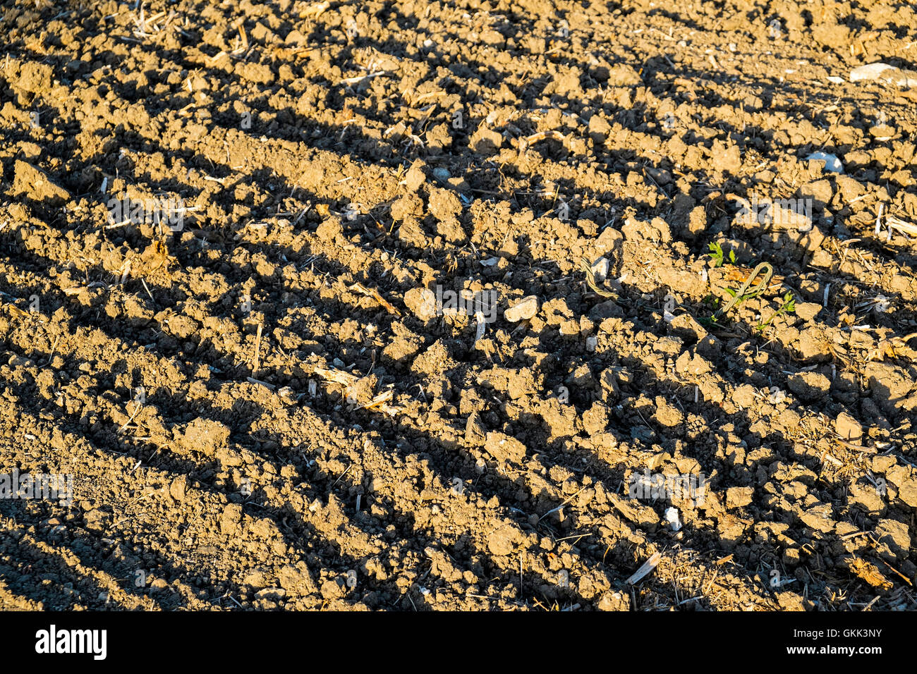 Detail of tilled farm field - France Stock Photo - Alamy