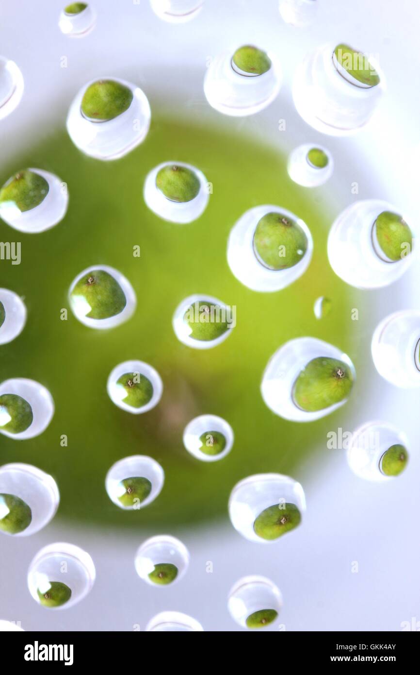 lime water drops Stock Photo - Alamy