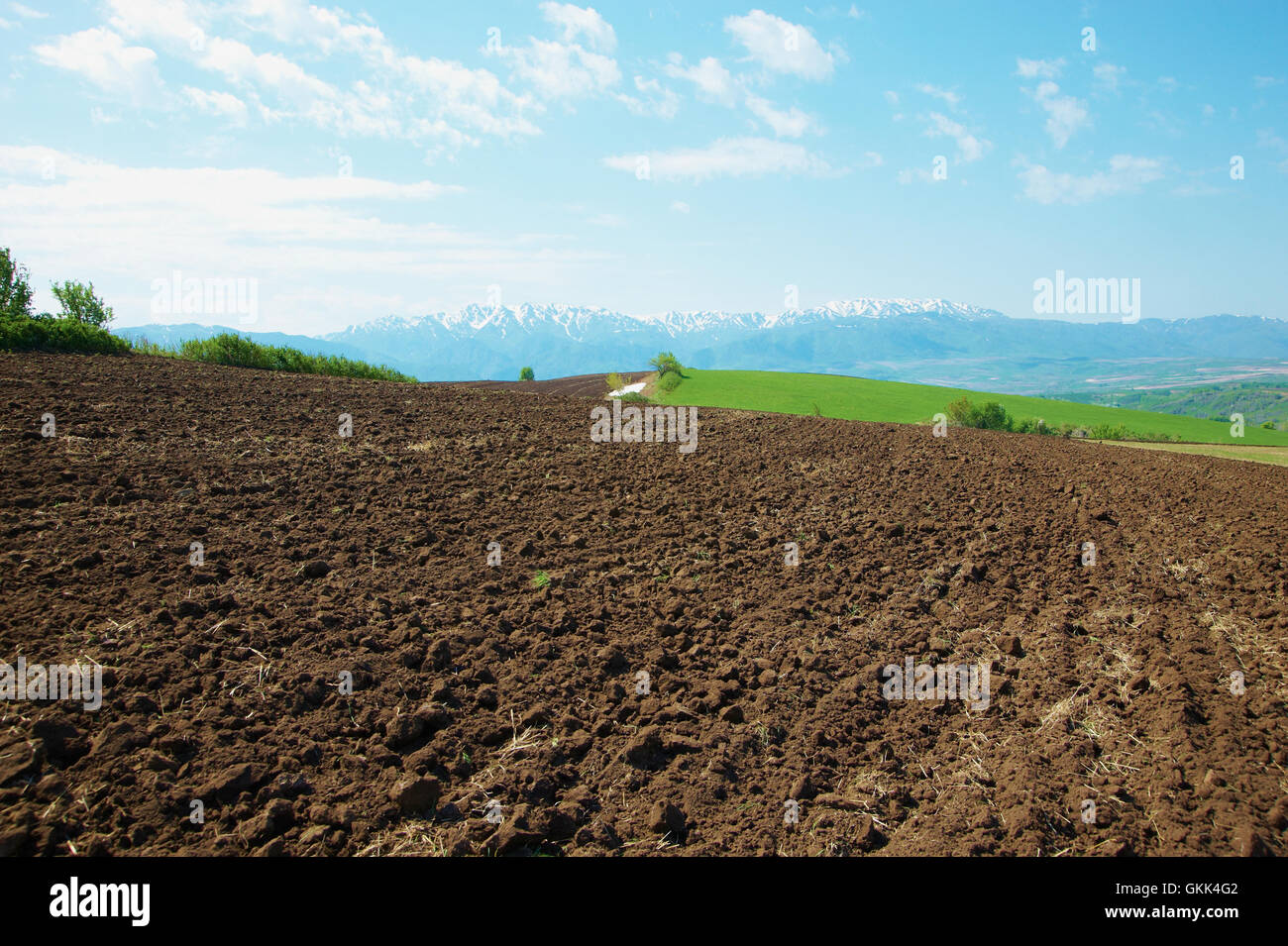 The plowed field Stock Photo - Alamy