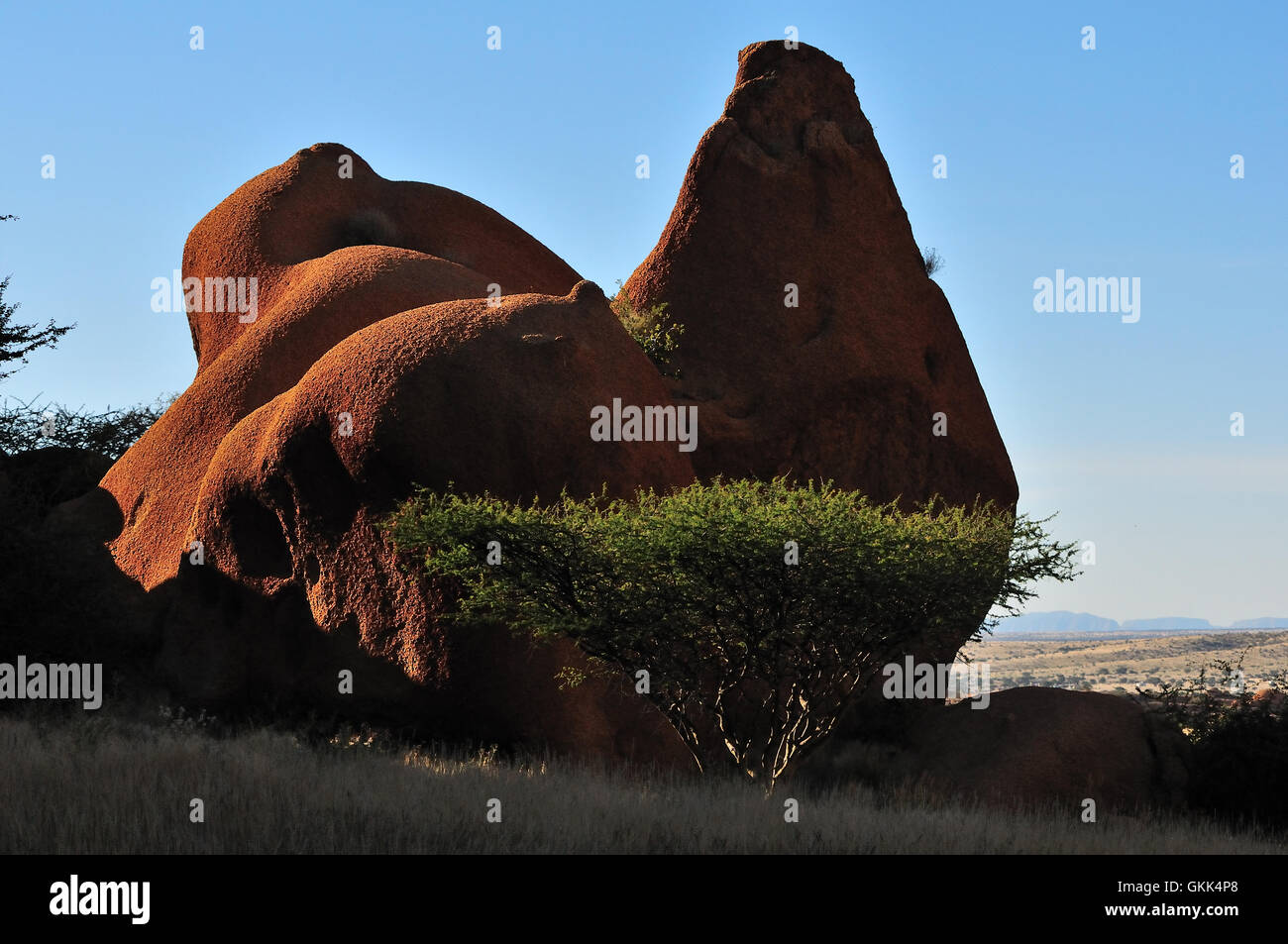 Ameib hi-res stock photography and images - Alamy