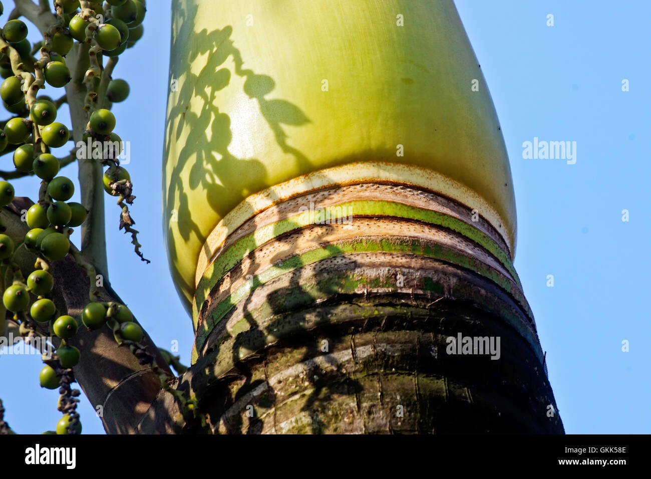 Spindle Bottle High Resolution Stock Photography and Images - Alamy
