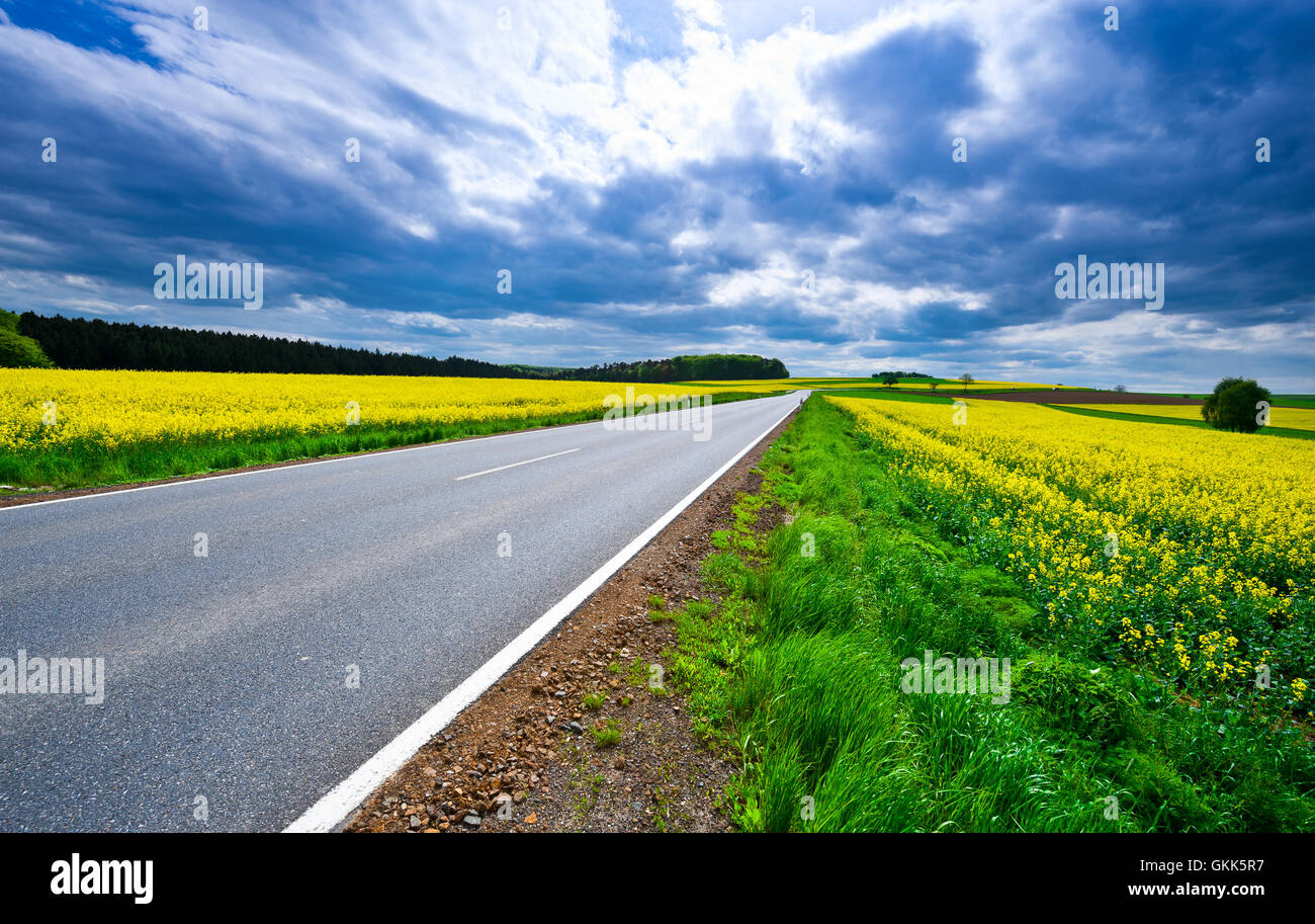 Fields of Lucerne Stock Photo - Alamy