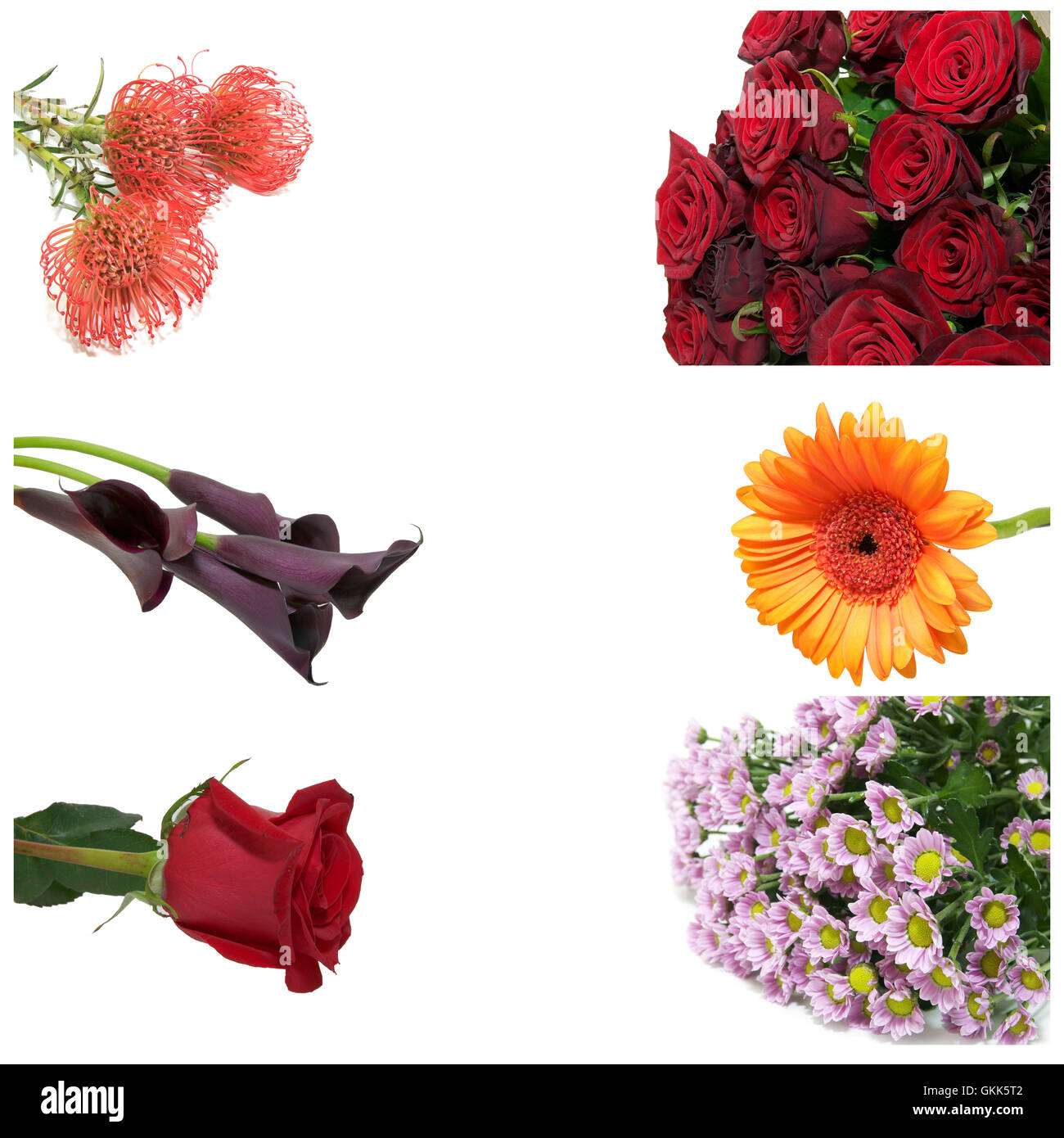 Set photos of flowers Stock Photo - Alamy
