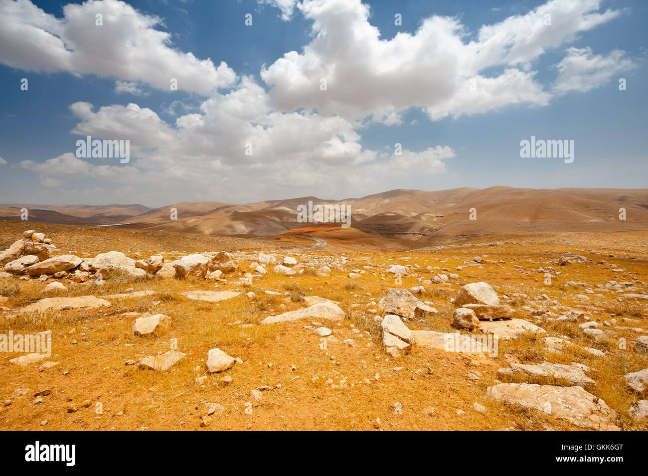 Shrubs of israel hi-res stock photography and images - Alamy