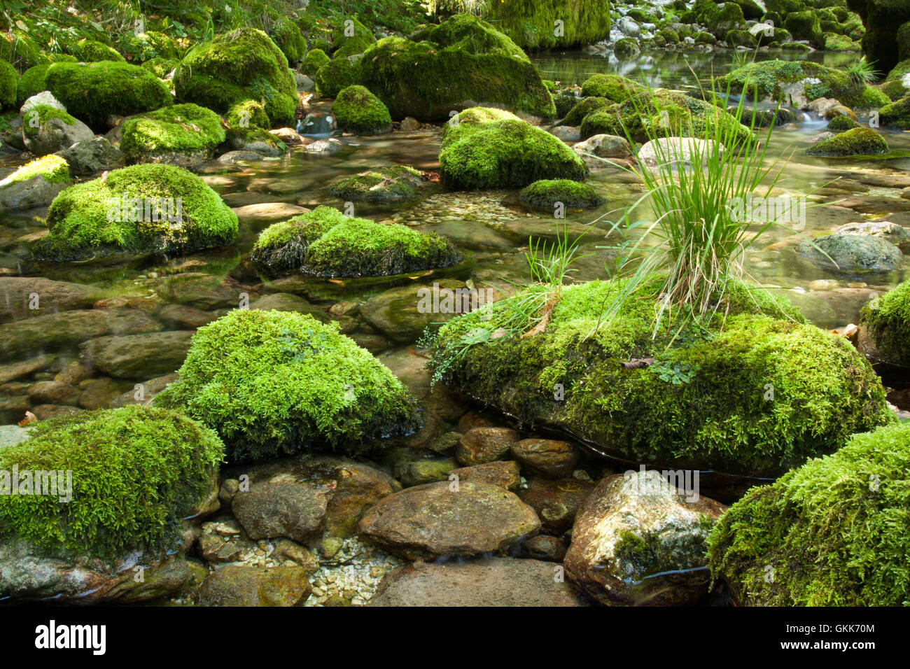 Rocks with moss Stock Photo - Alamy