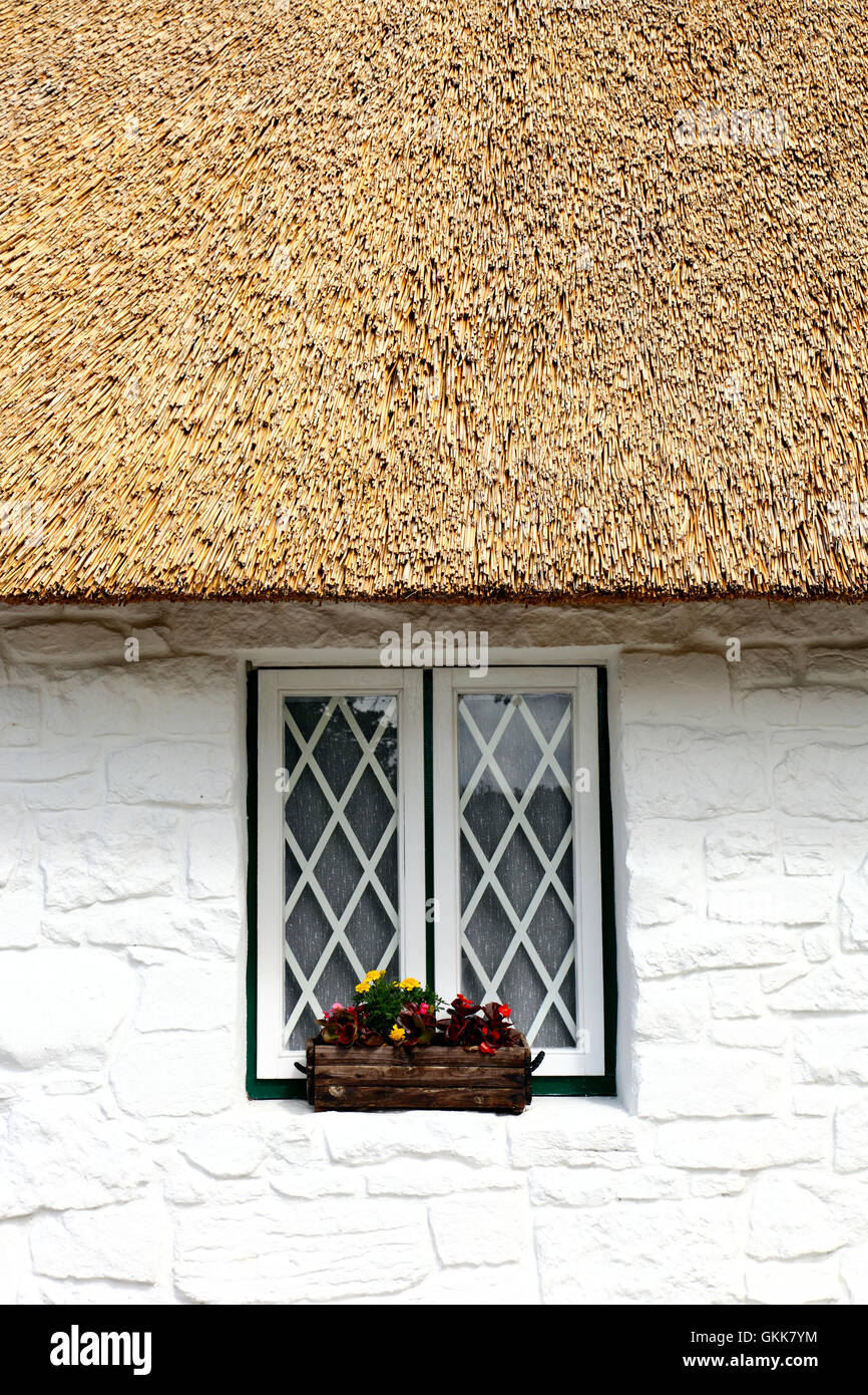 Thatch roof and window Stock Photo - Alamy