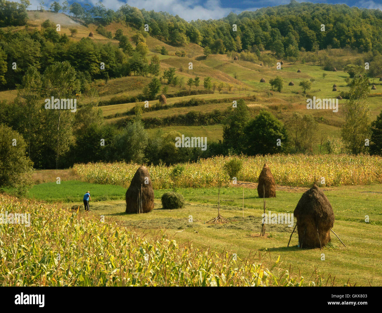 Field with haystack Stock Photo - Alamy