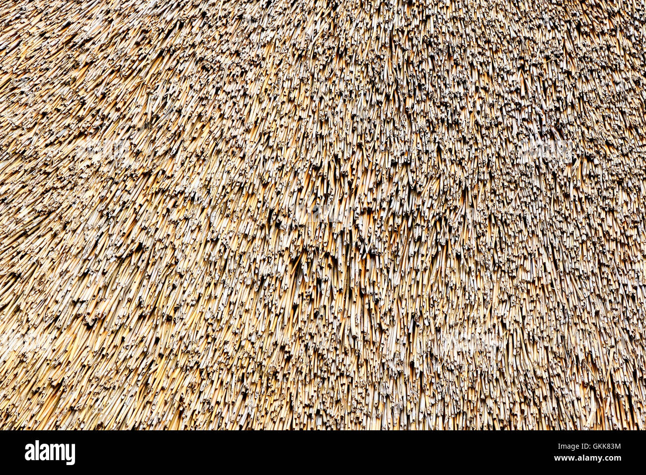 Thatch roof, full frame background Stock Photo - Alamy