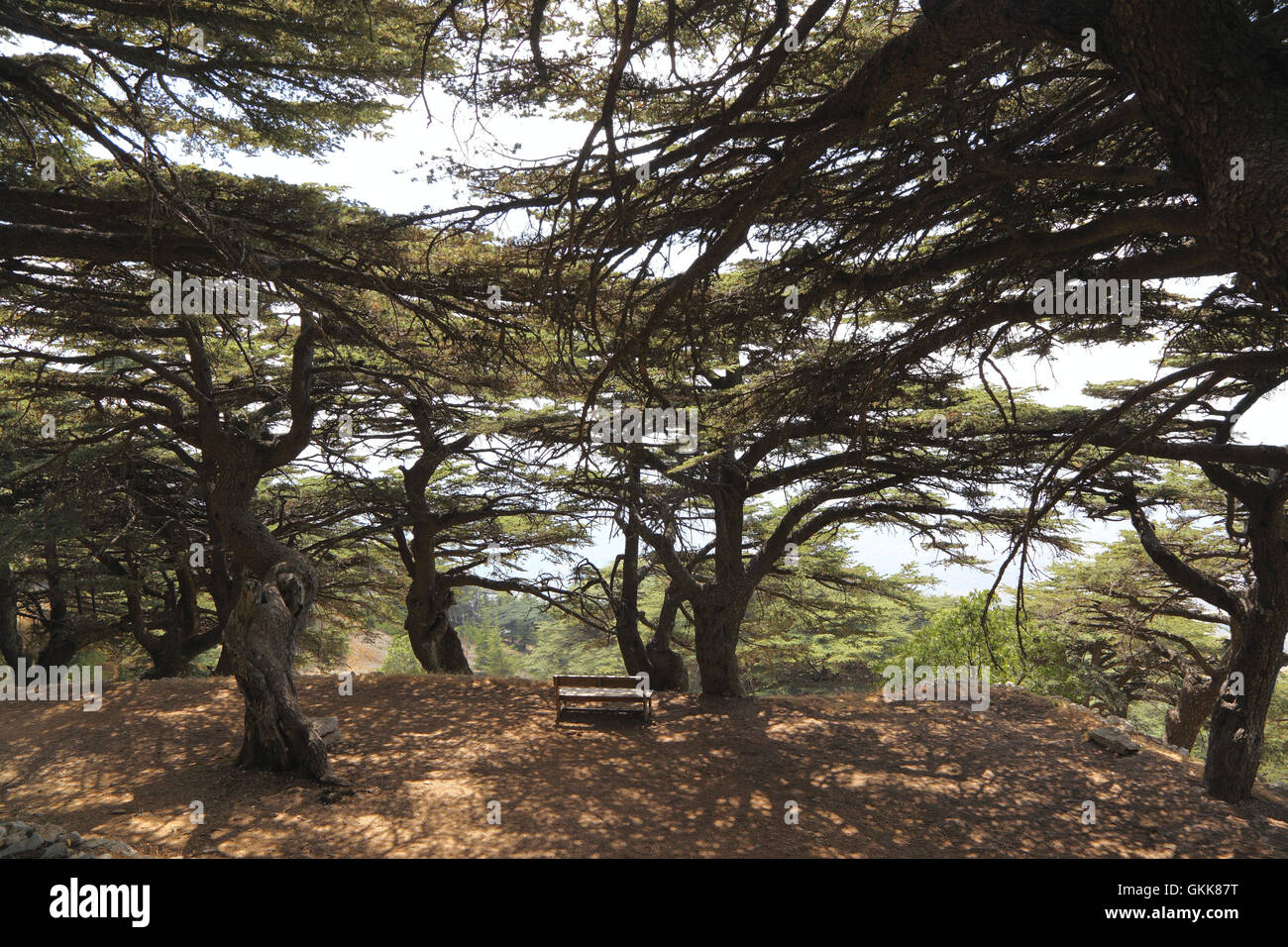 Landscape of lebanon hi-res stock photography and images - Alamy