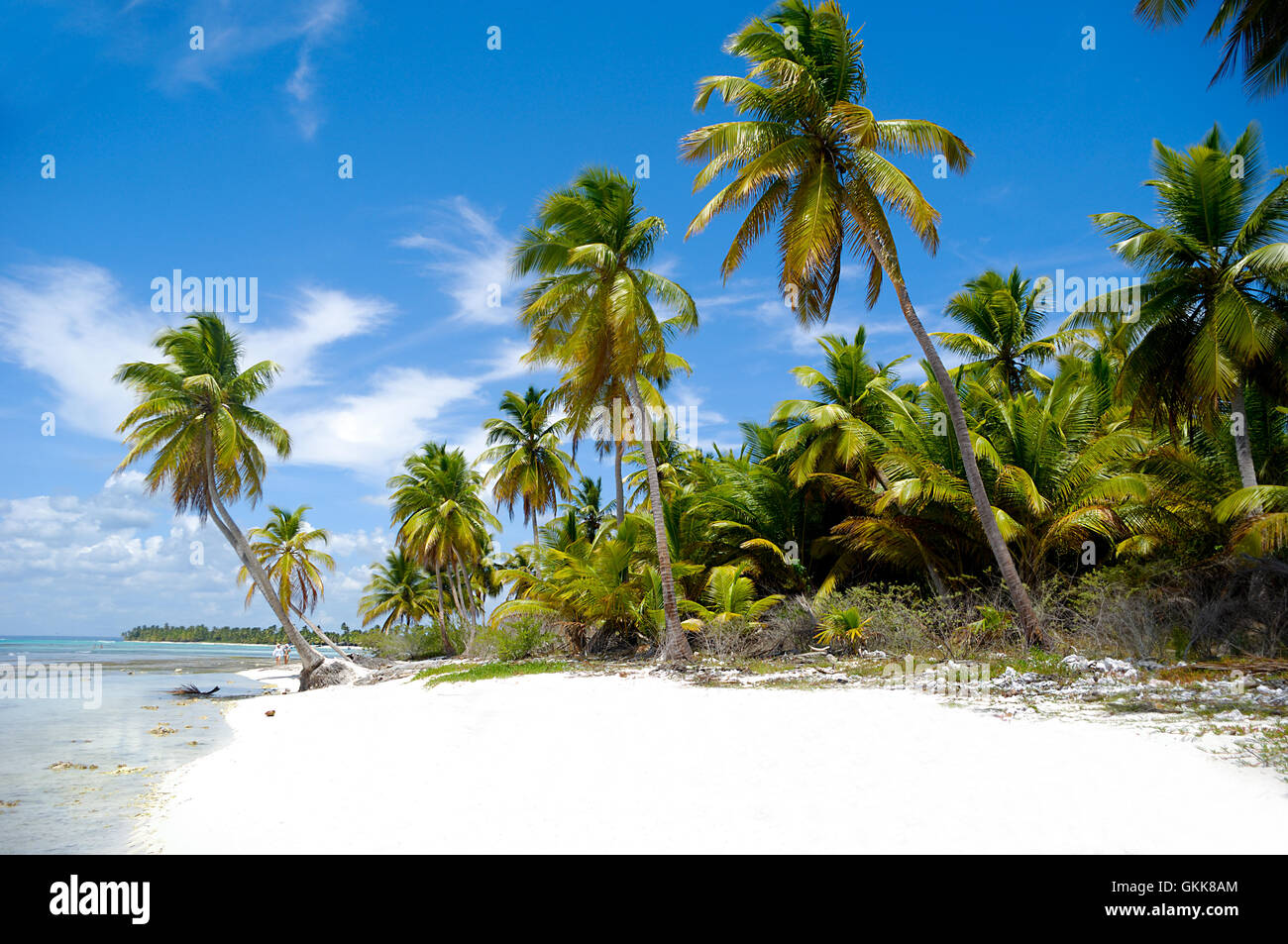 Exotic caribbean paradise hi-res stock photography and images - Alamy
