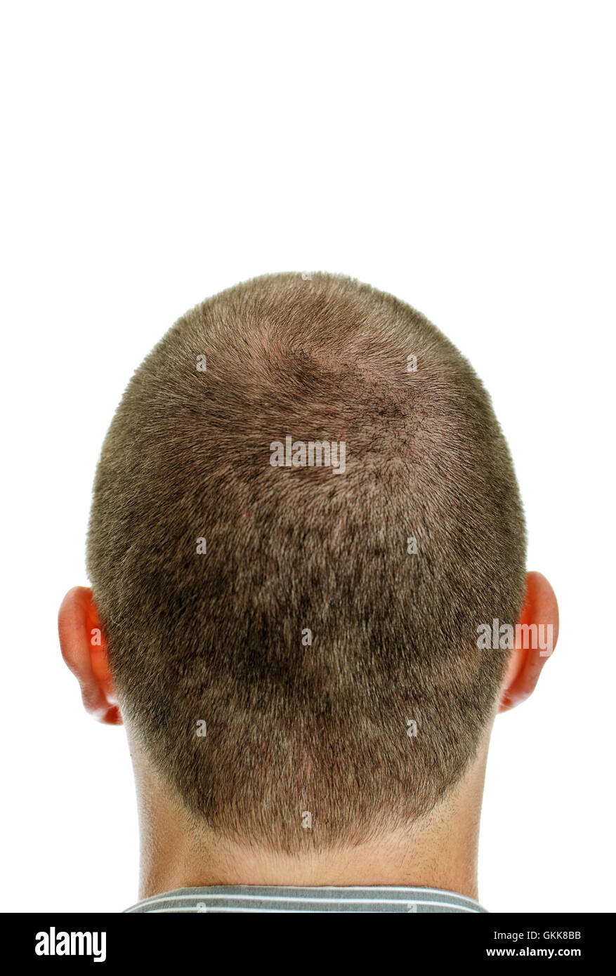 Closeup of the back of mans head. Isolated on white Stock Photo - Alamy