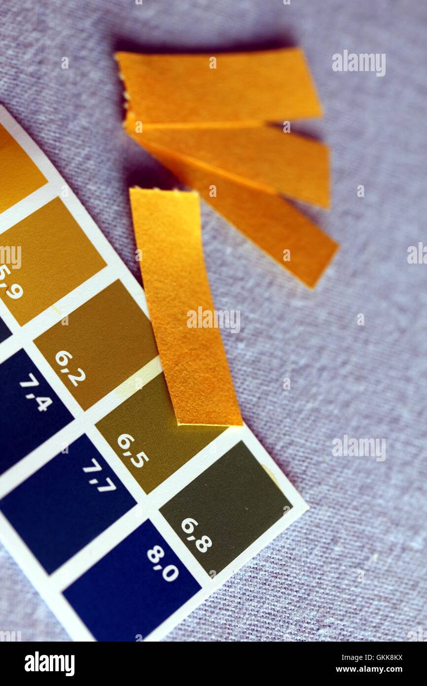 urine ph test strips Stock Photo - Alamy