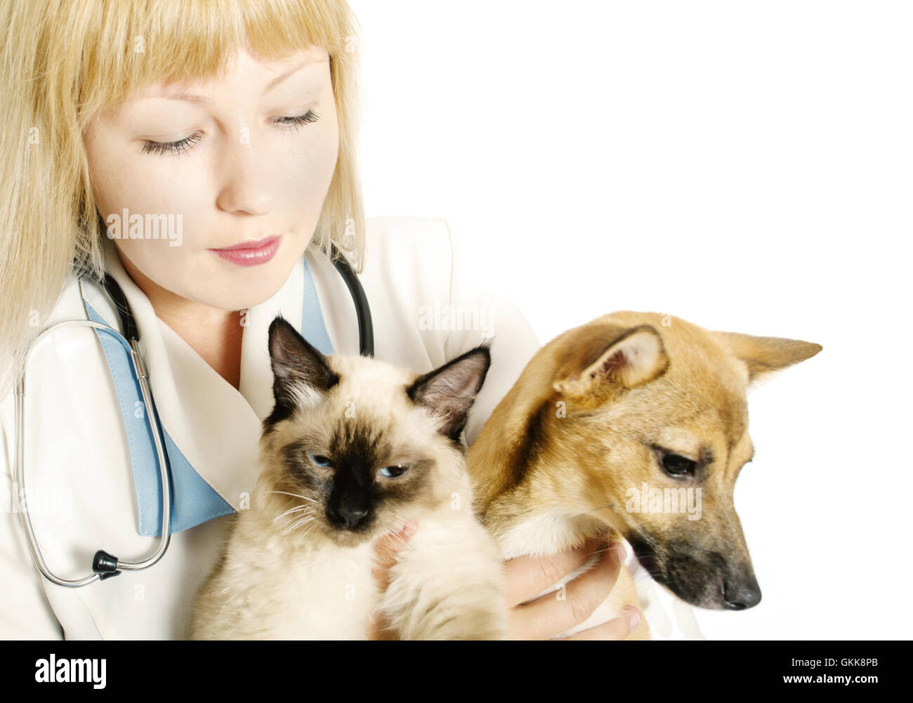 veterinarian with two animals Stock Photo - Alamy