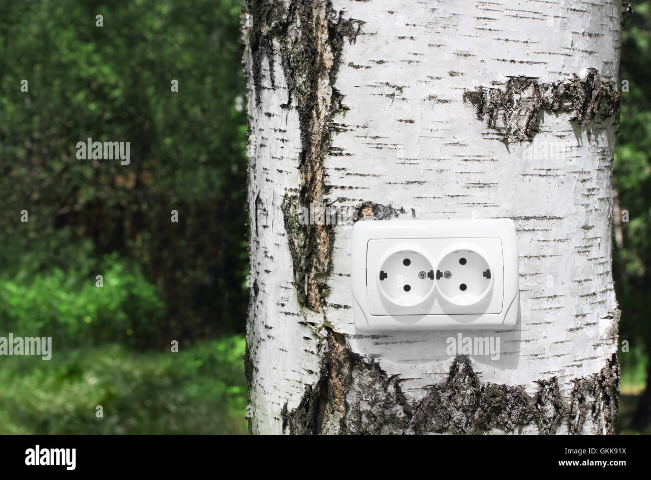 power receptacle on a tree Stock Photo - Alamy