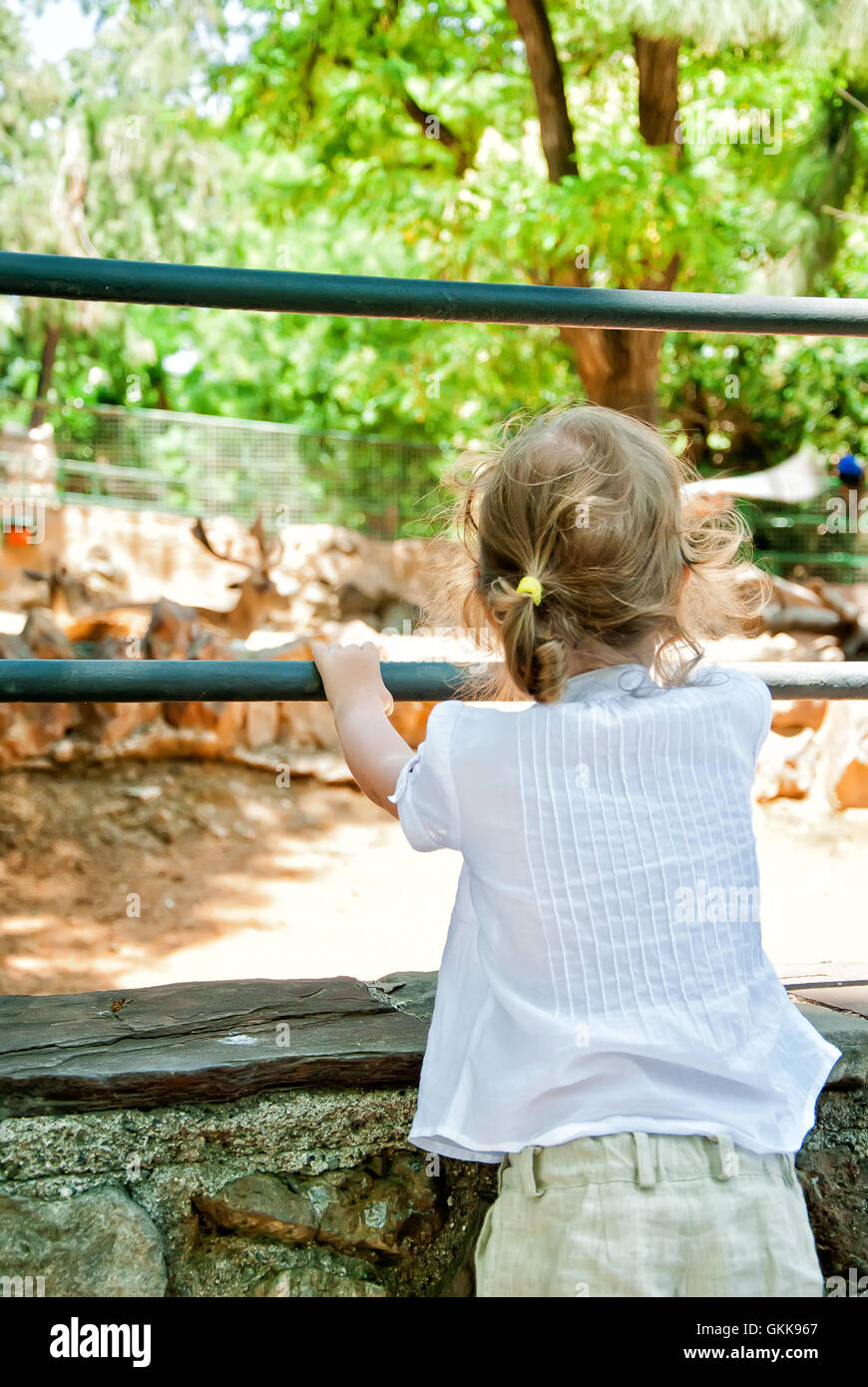 Little girl looking at animals in the zoo Stock Photo - Alamy
