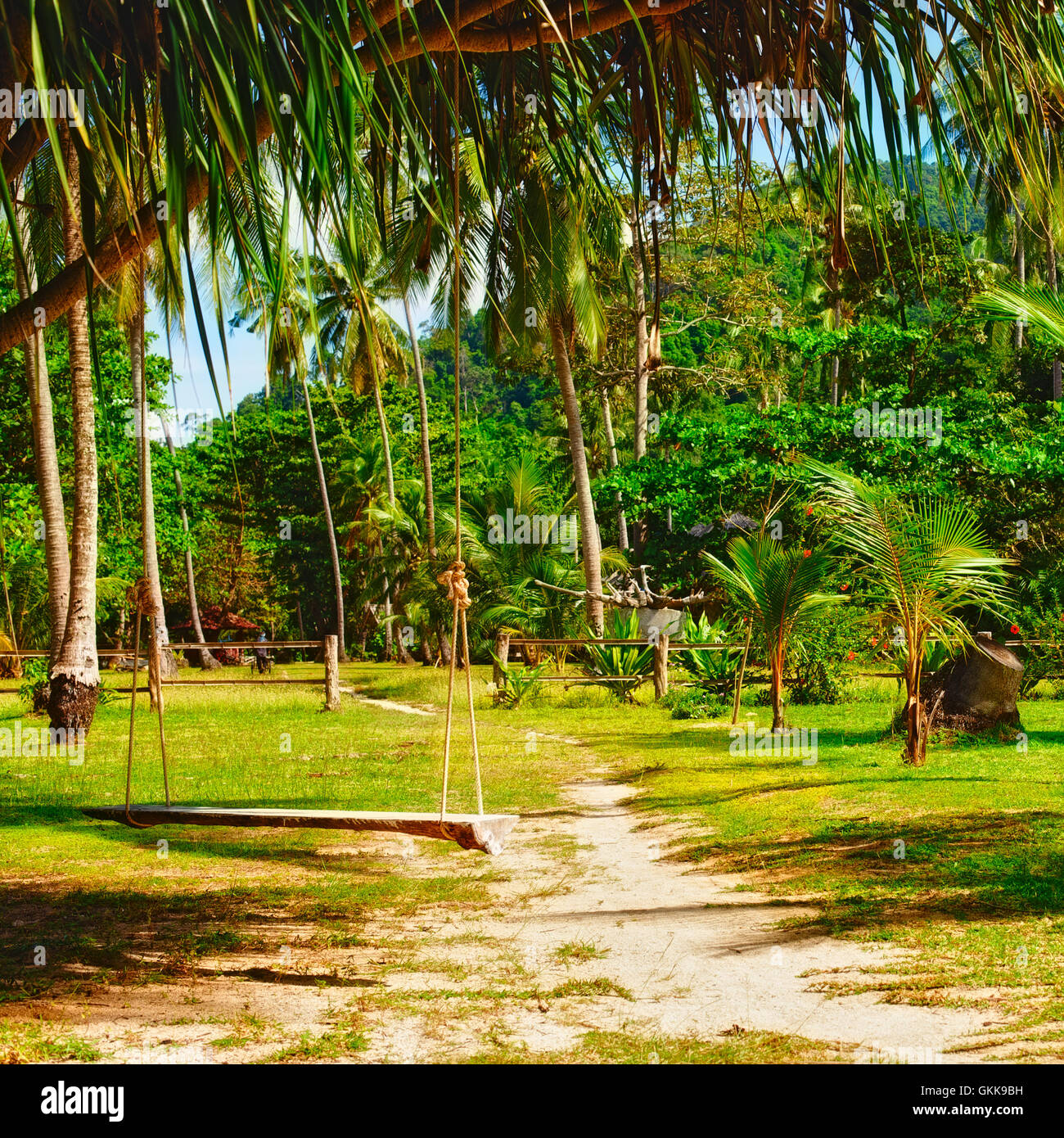 Path way in tropical hi-res stock photography and images - Alamy