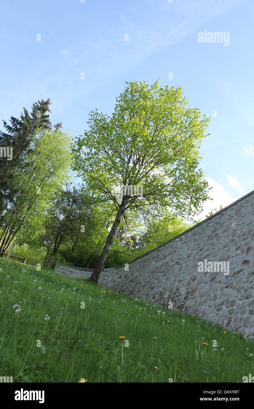 Spring corner hi-res stock photography and images - Alamy