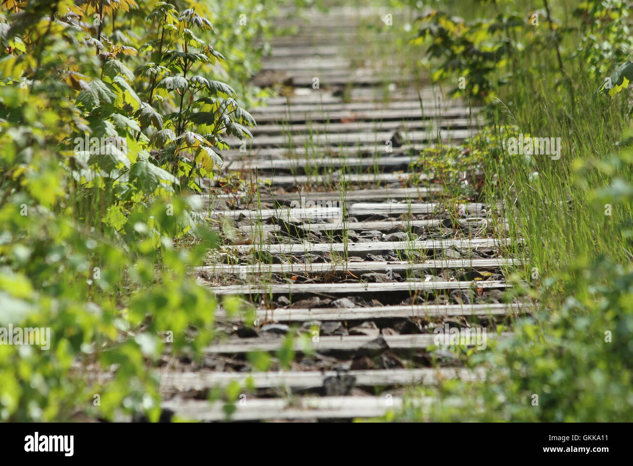old railway track Stock Photo - Alamy